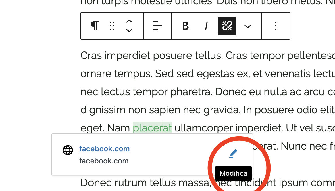 Inserire link interni ed esterni sul tuo sito o blog WordPress